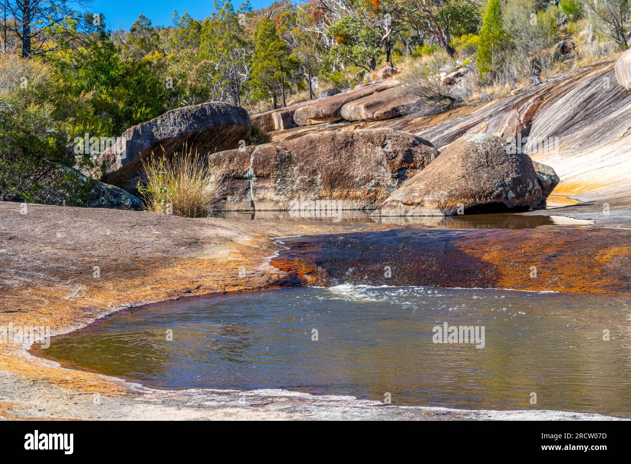 The junction of Bald Rock and Ramsay Creeks, The Junction, Girraween ...