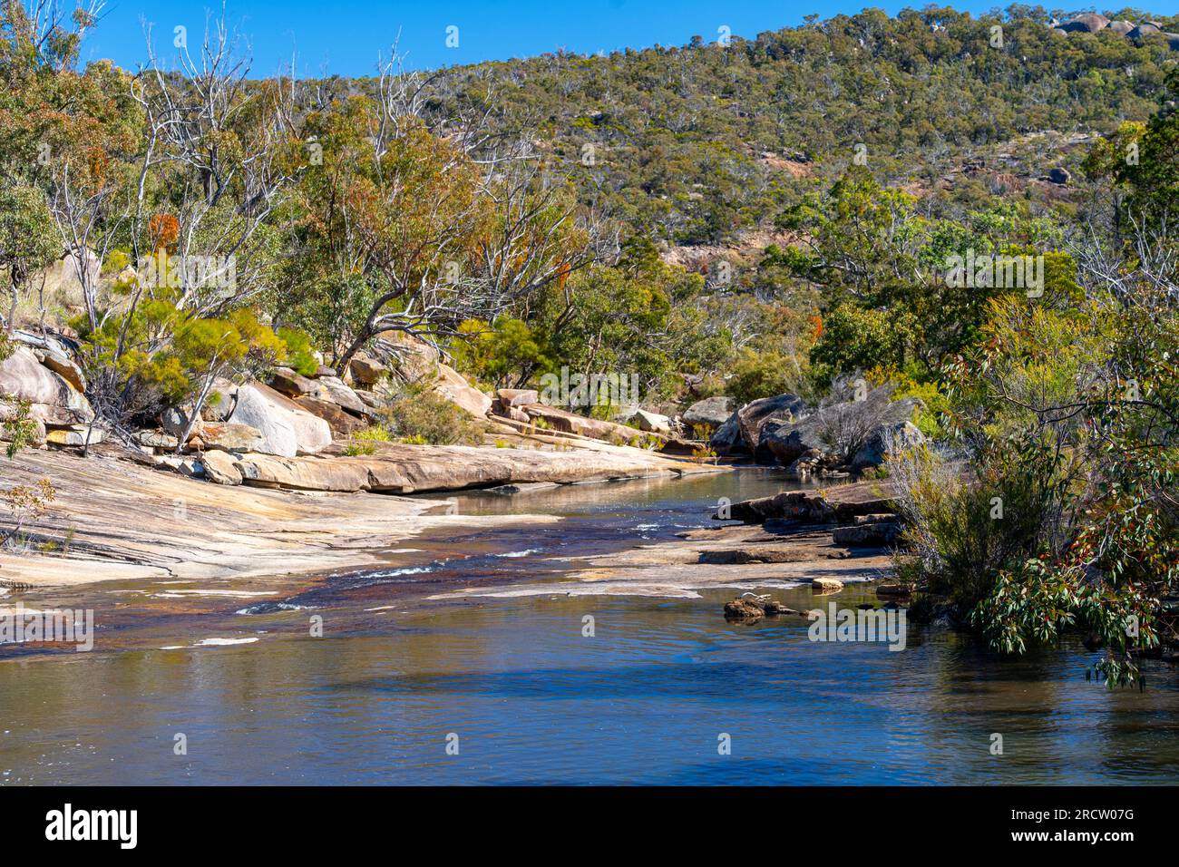 The junction of Bald Rock and Ramsay Creeks, The Junction, Girraween ...