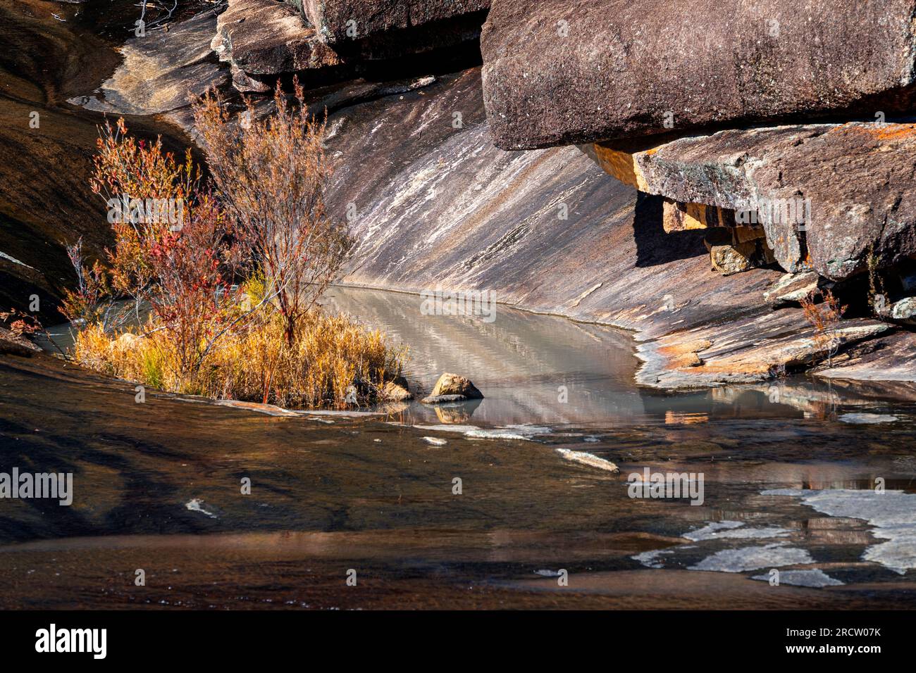 The junction of Bald Rock and Ramsay Creeks, The Junction, Girraween ...