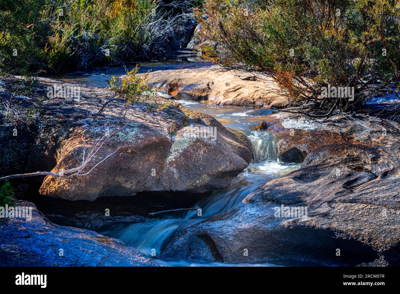 The junction of Bald Rock and Ramsay Creeks, The Junction, Girraween ...