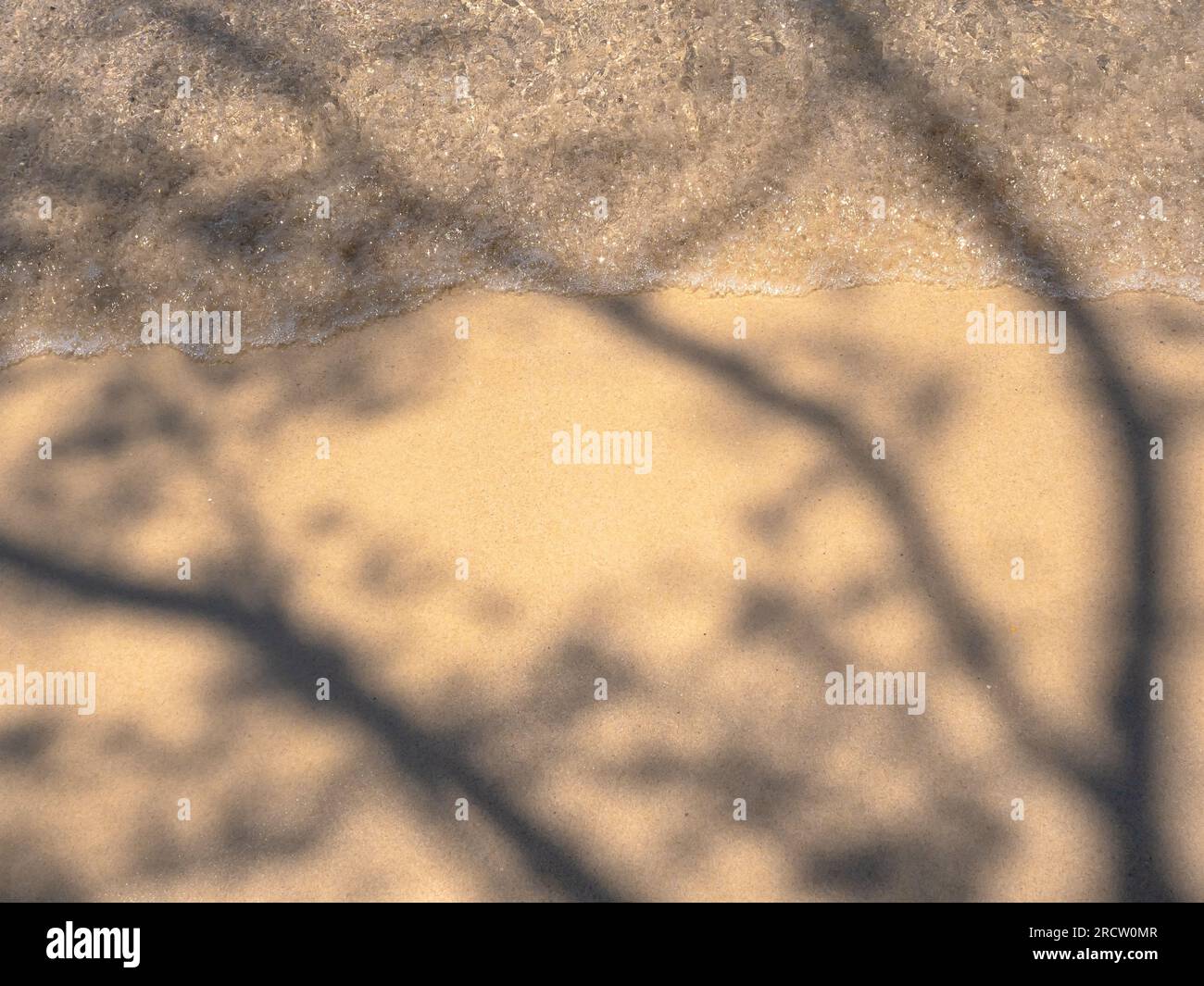 Clean beach background with empty space, clear sea water and wave surf ...