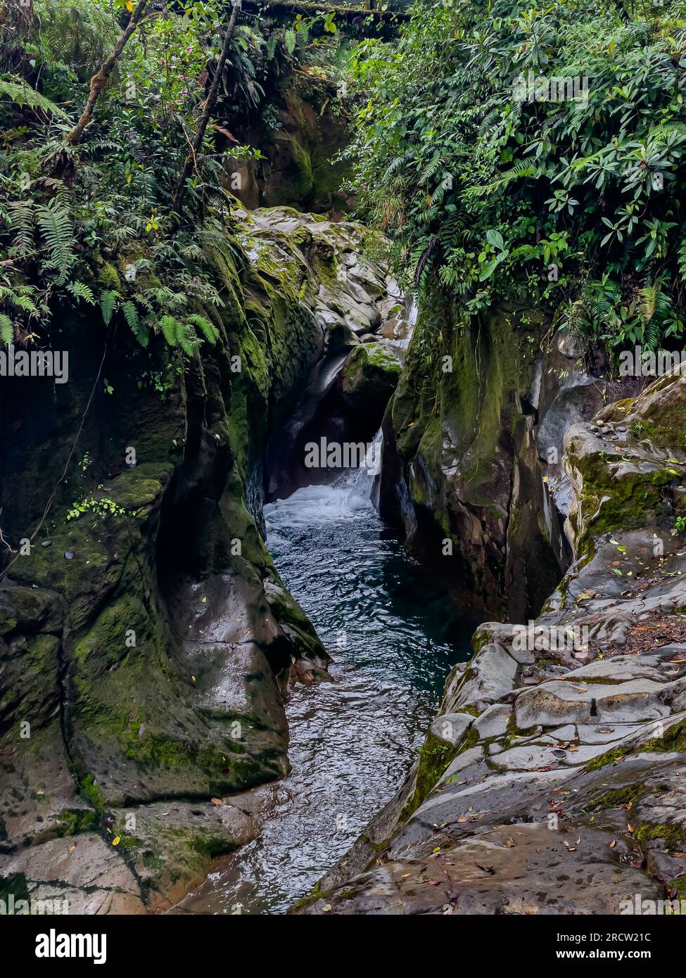 The beautiful Costa Rica Rainforest, waterfalls and blue river in the ...
