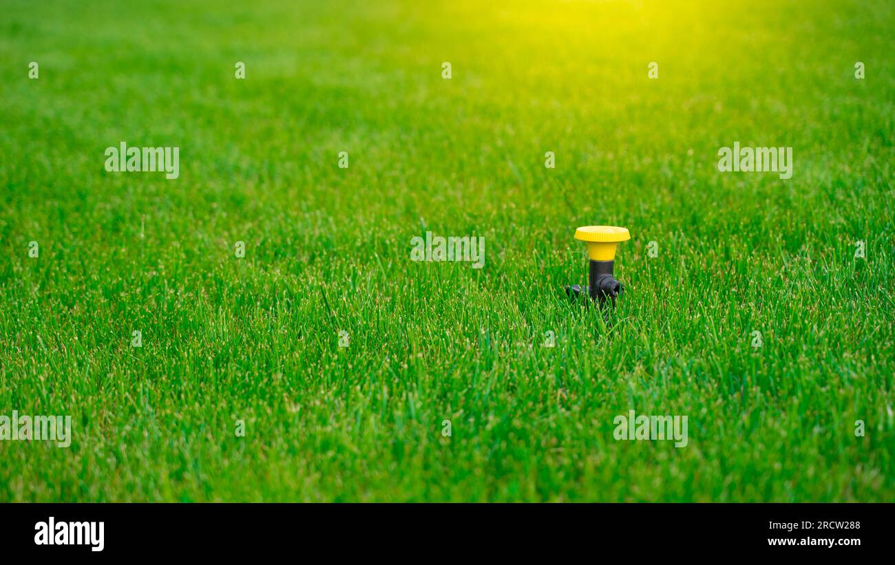 Yellow round universal lawn sprinkler set in green grass. Well-groomed ...