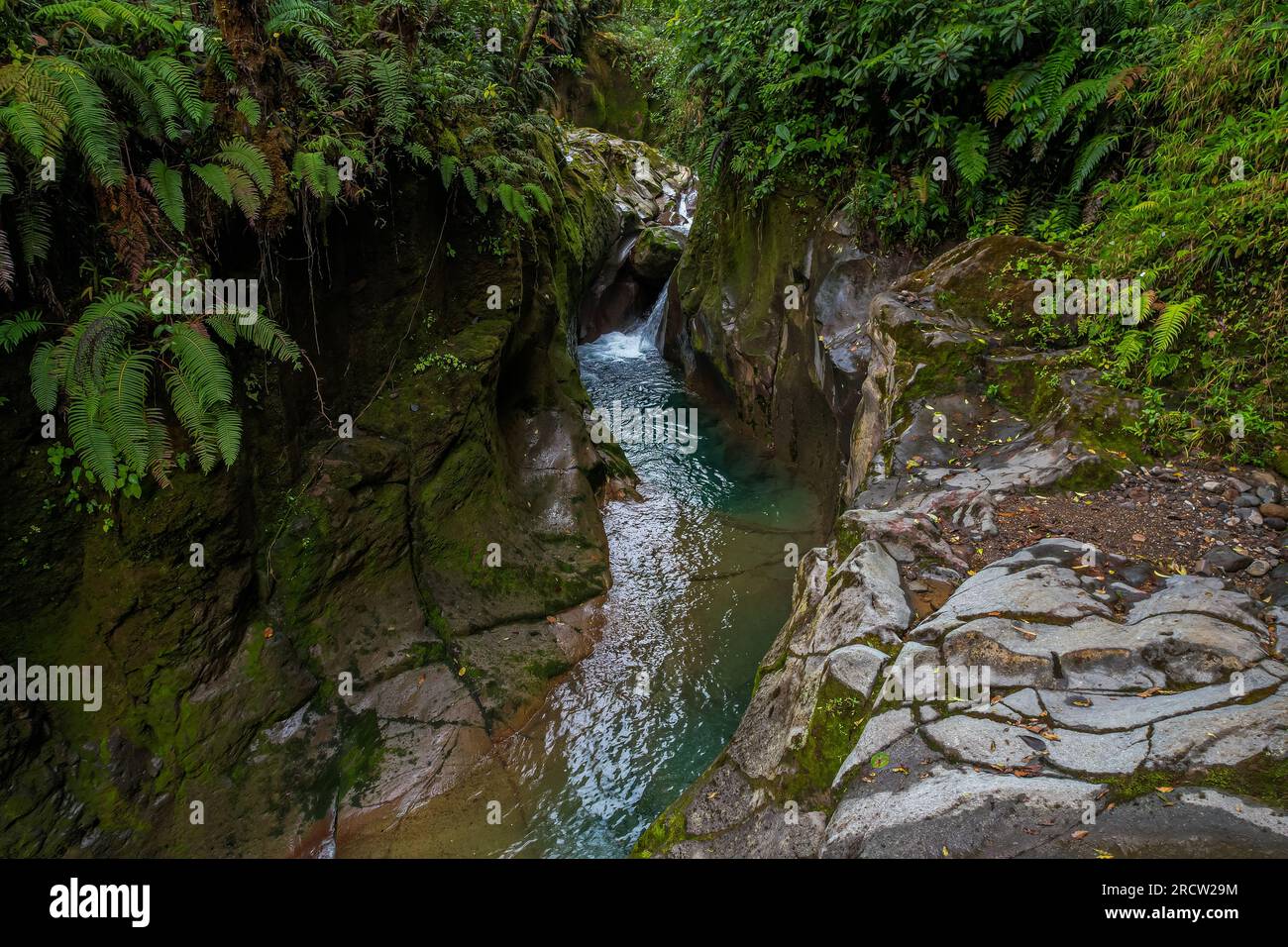 The beautiful Costa Rica Rainforest, waterfalls and blue river in the ...
