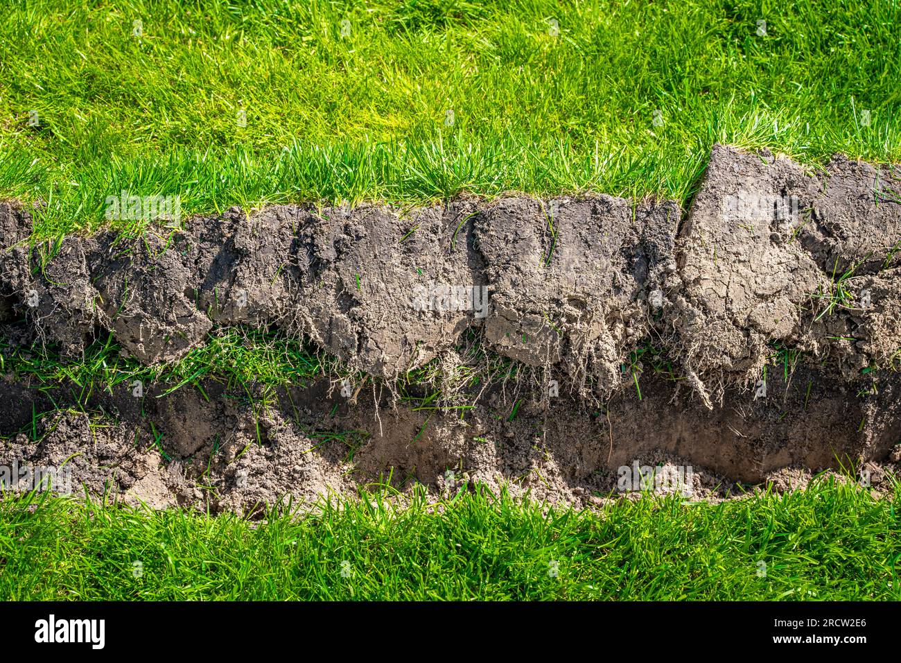 A ditch dug in the lawn for laying pipes and installing irrigation ...