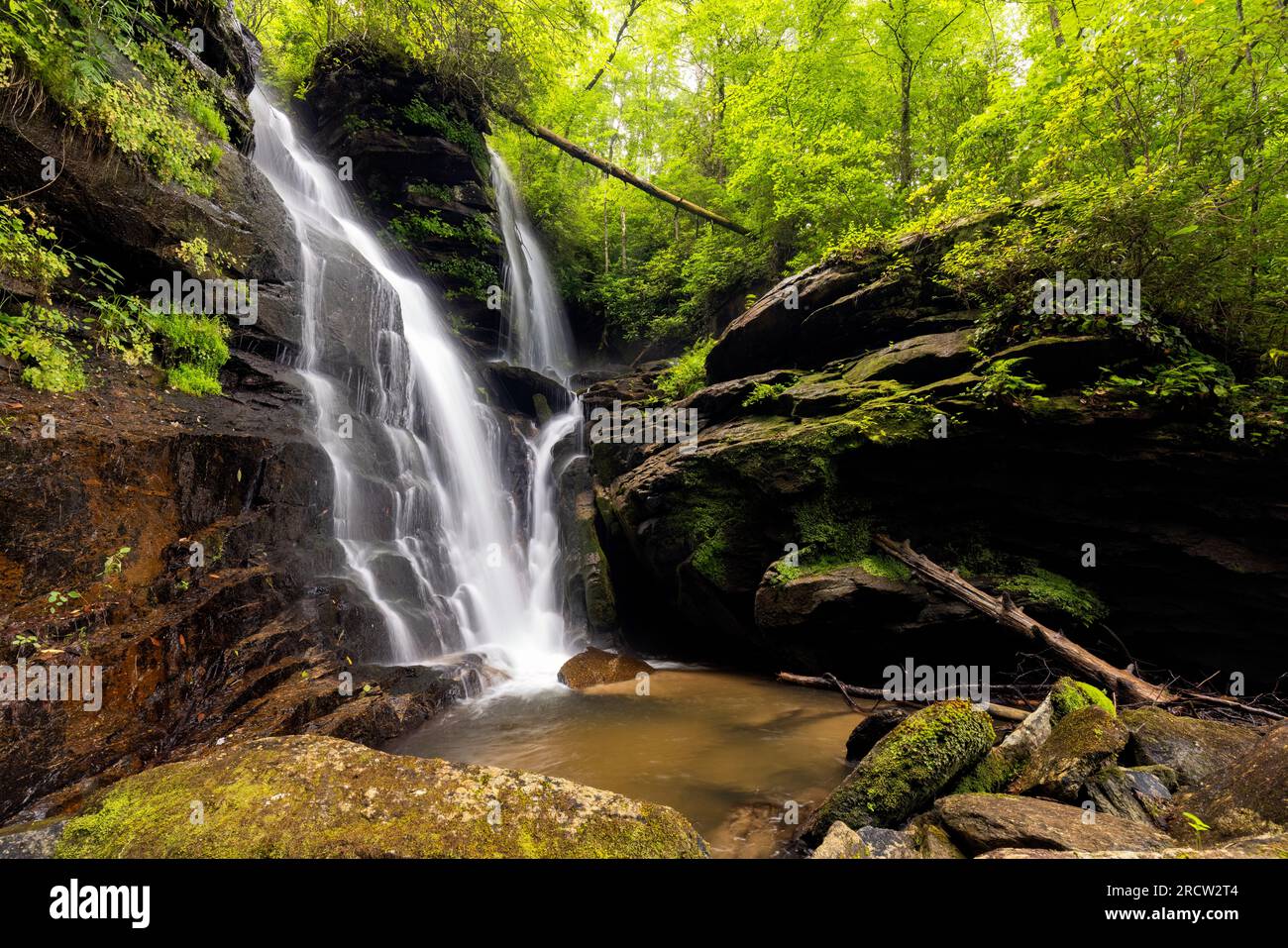 Reece Place Falls - Headwaters State Forest, near Brevard, North Carolina, USA Stock Photo - Alamy