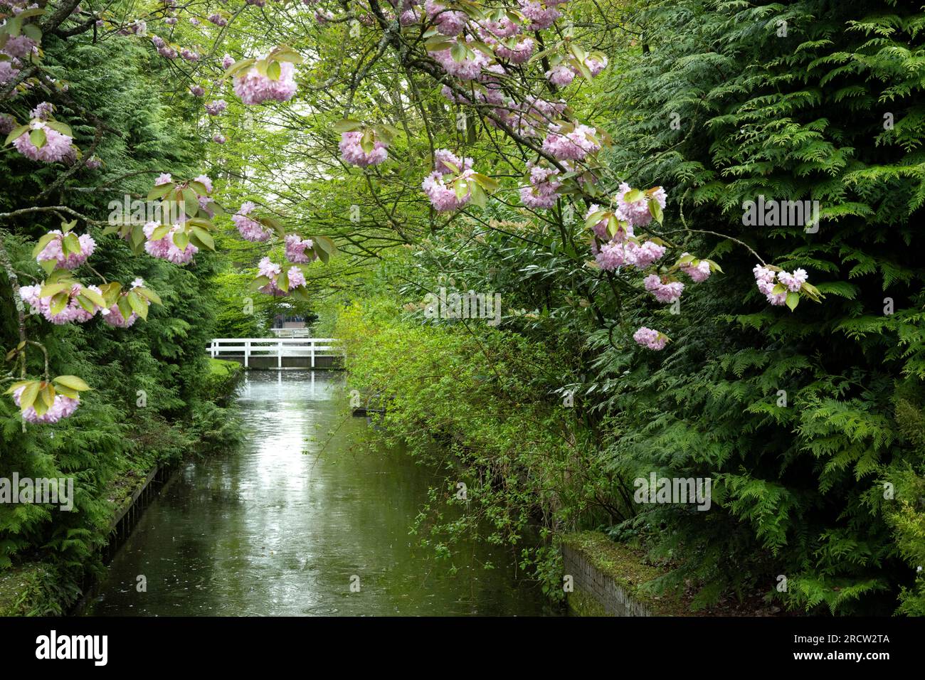 small white bridge over a water canal at the Keukenhof Gardens Stock ...