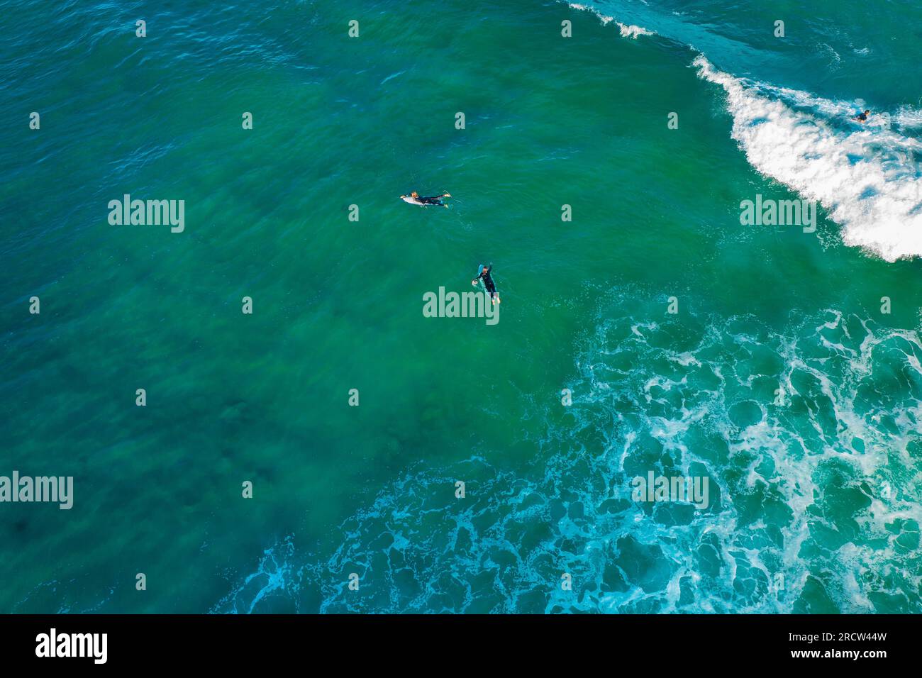 Top drone aerial view over group of surfers in the shallow green waters ...