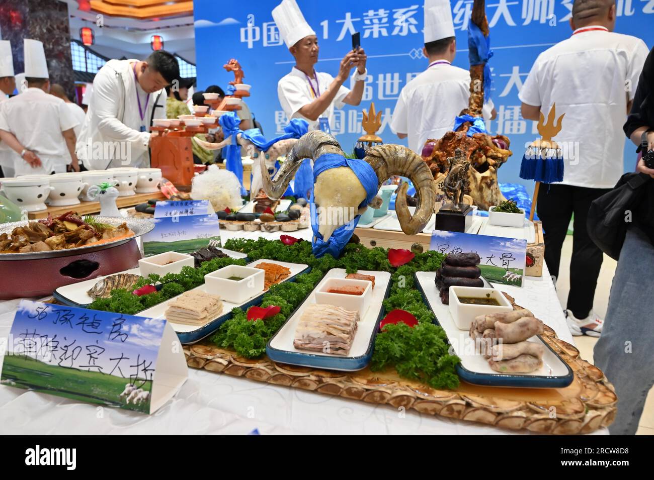 **CHINESE MAINLAND, HONG KONG, MACAU AND TAIWAN OUT** The 9th China ...