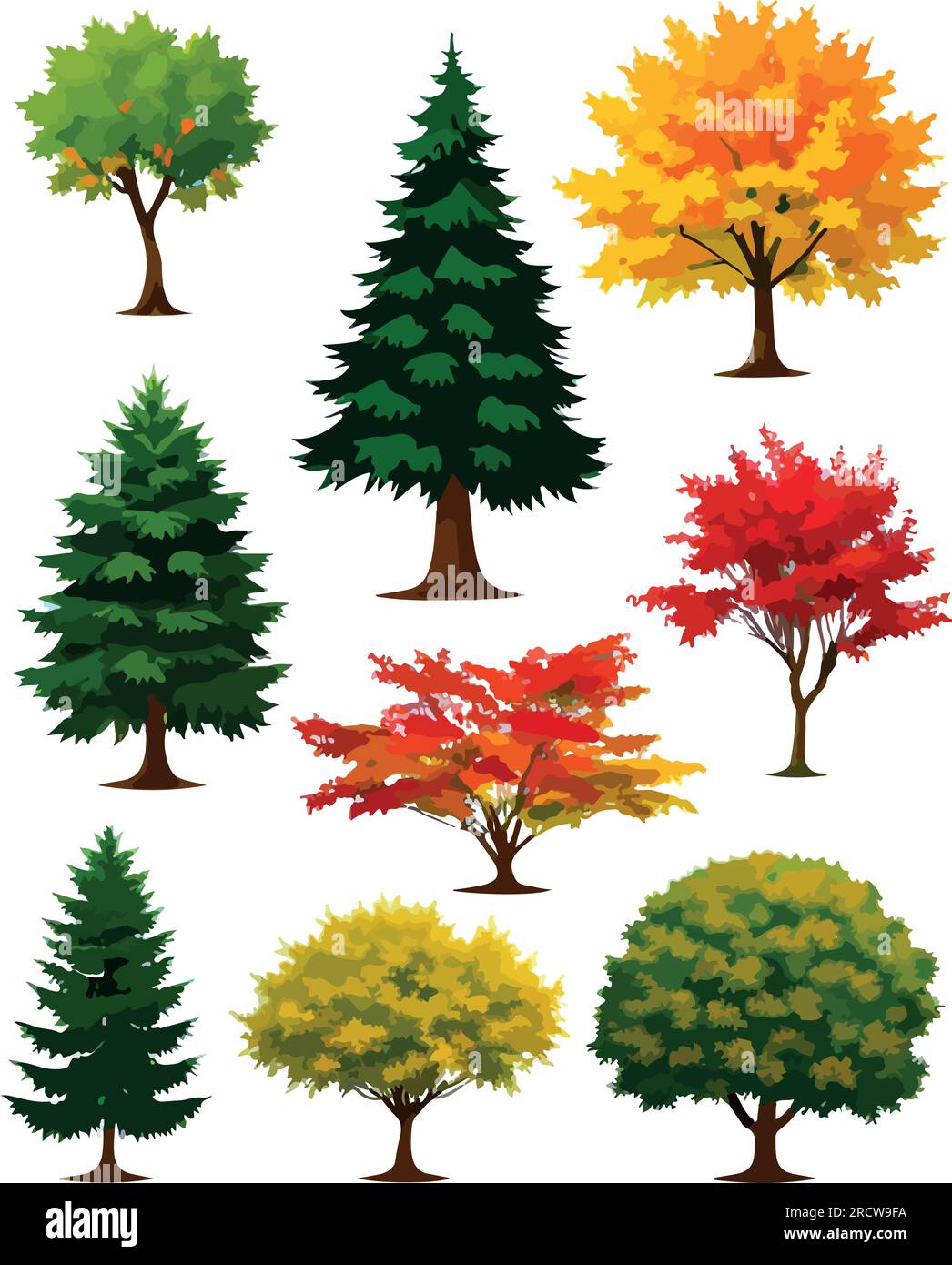 Pretty trees bushes shrubs seasesonal vector art Stock Vector Image ...