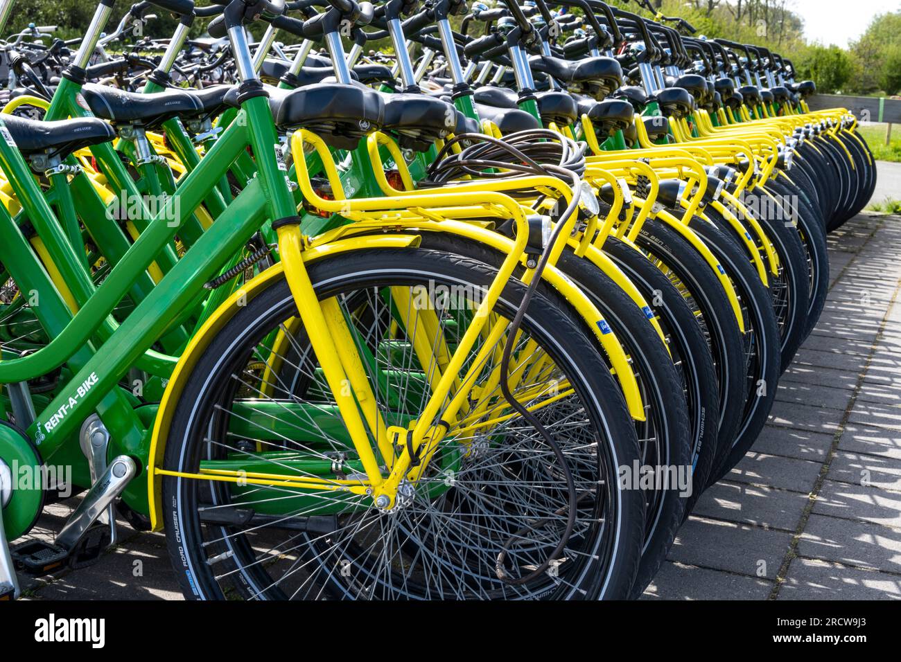 bicycles to rent outside the Keunkenhof Gardens Stock Photo - Alamy