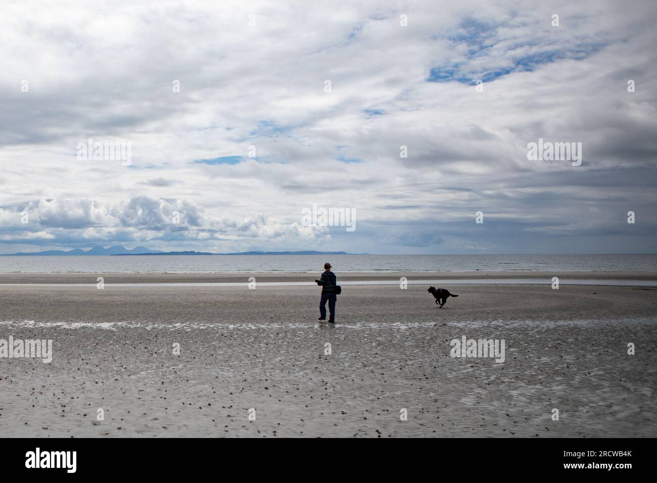Arthritic old Labrador having a wonderful time on Ardalanish beach ...