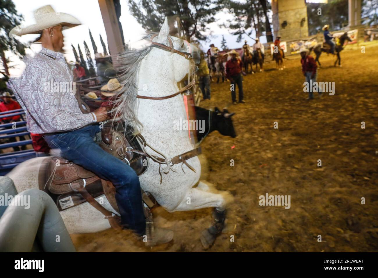 Bill pickett rodeo hi-res stock photography and images - Alamy