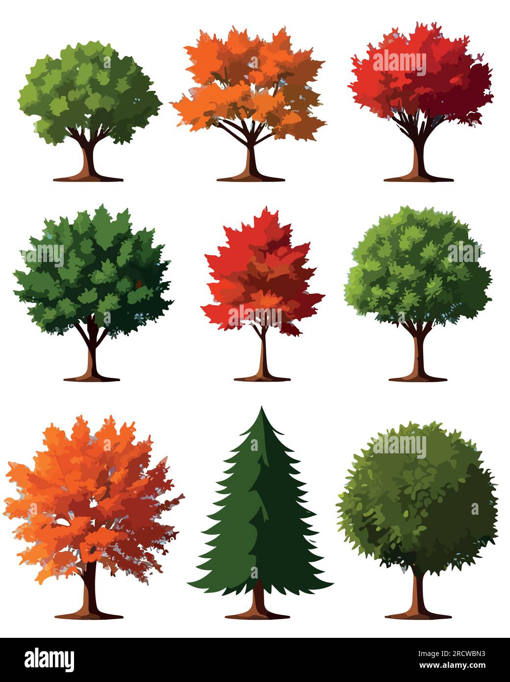 Wonderful trees bushes shrubs seasesonal vector art Stock Vector Image ...