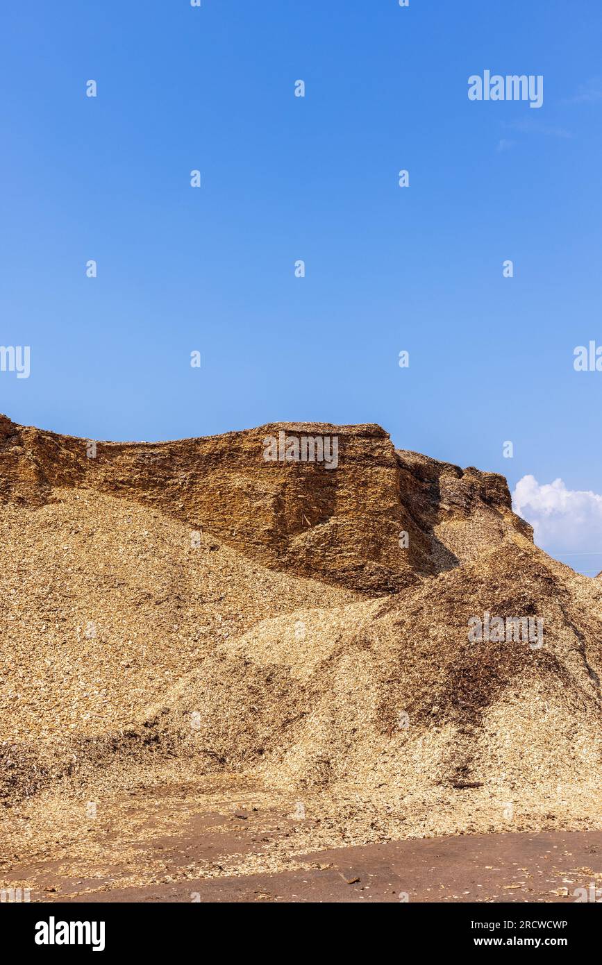 Storage of wood chips in piles for drying Stock Photo - Alamy