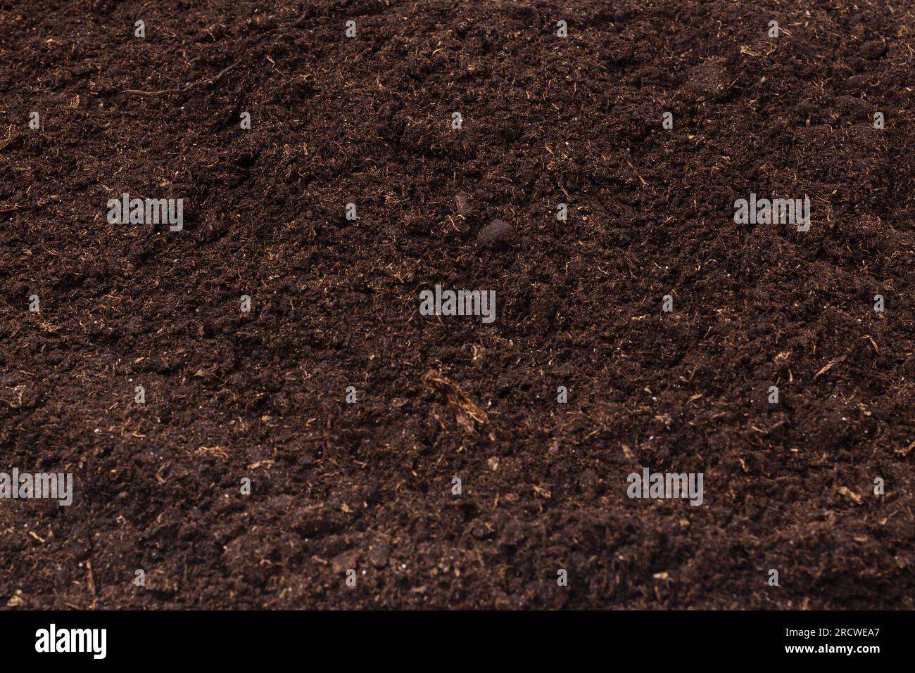Soil for plant isolated on white background. Soil pattern Stock Photo ...