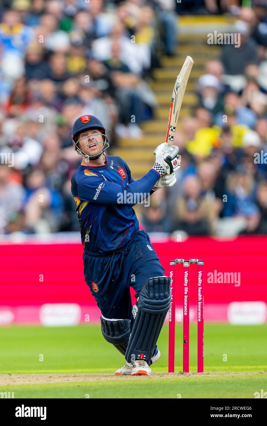 Simon harmer essex eagles hi-res stock photography and images - Alamy