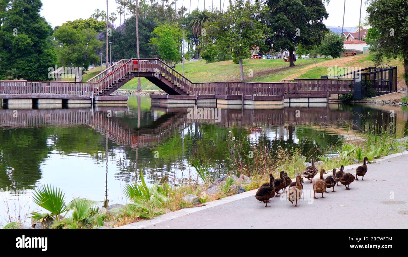 Hollenbeck park lake hi-res stock photography and images - Alamy