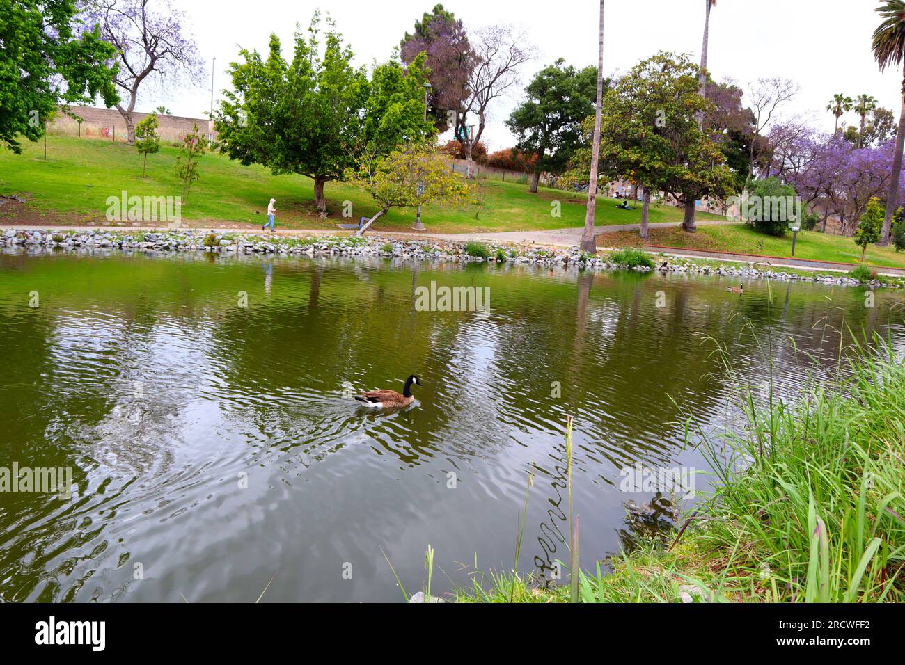 Los Angeles, California: Hollenbeck Park located on the corner of Saint ...