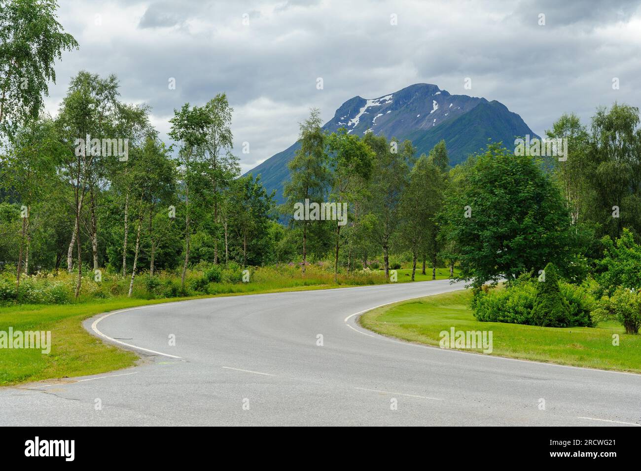 road bend between trees and mountains Stock Photo - Alamy