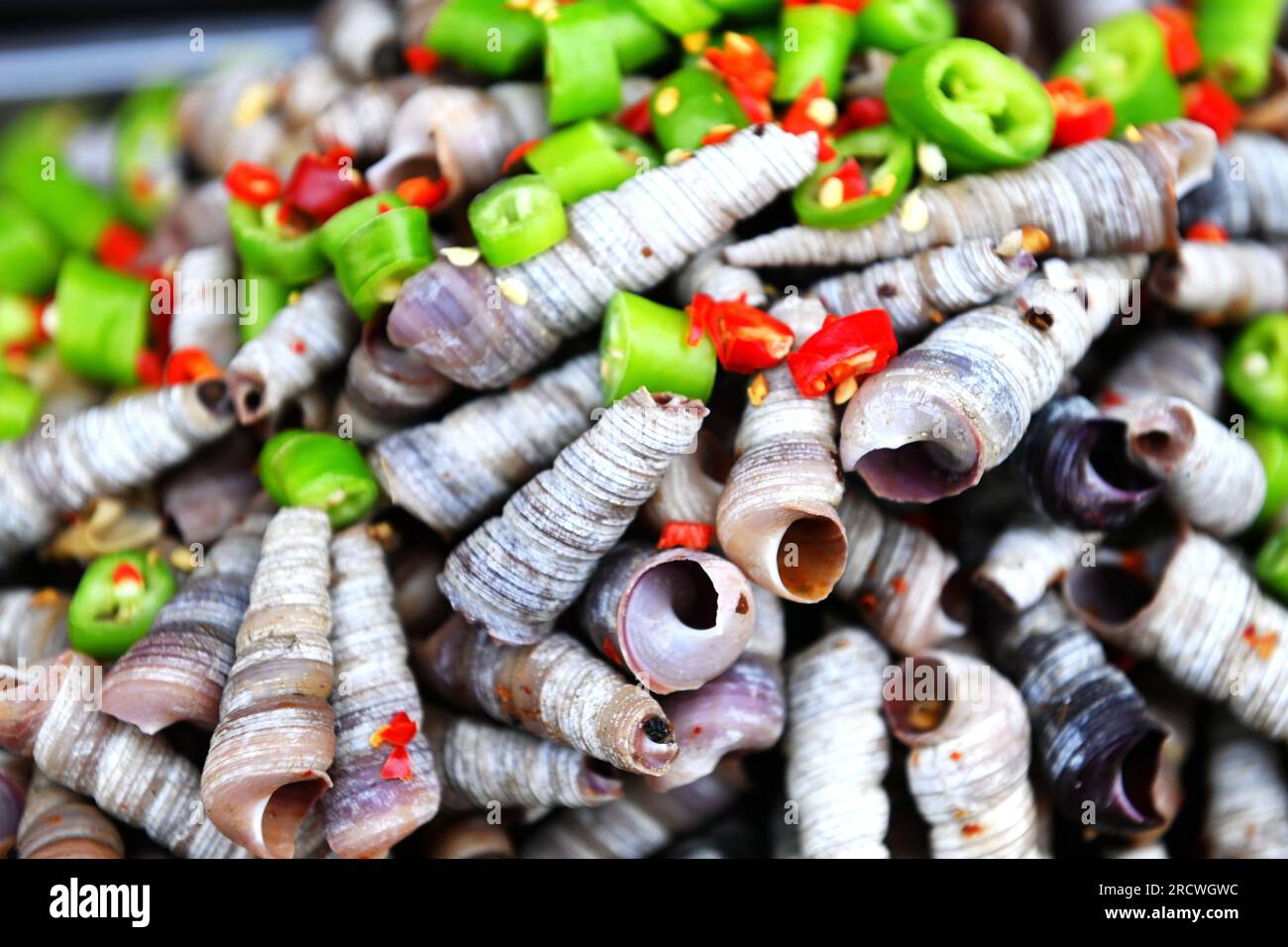 QINGDAO, CHINA - JULY 16, 2023 - Mature snails are seen at the Golden ...