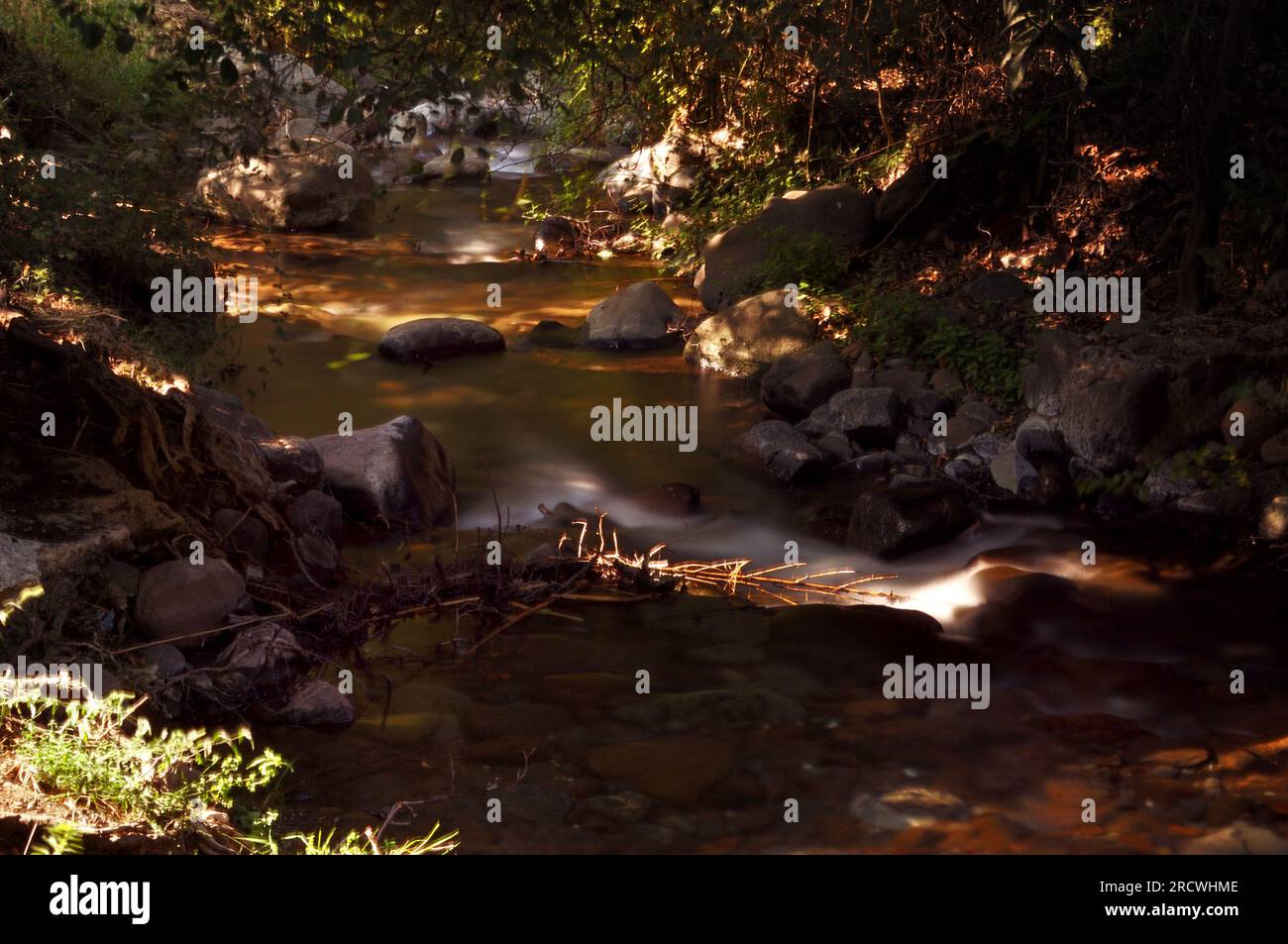 The beautiful River in the Forest of Kakopetria, on the Troodos ...