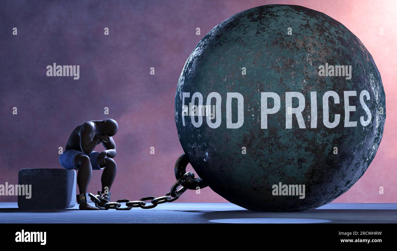 Food prices - a gigantic and unmovable weight chained to a vulnerable ...