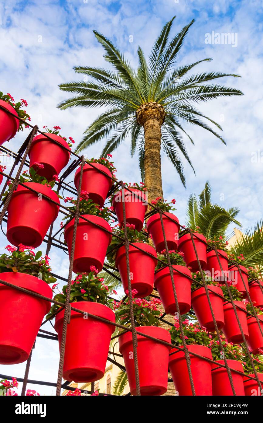 Palm tree and red flower pots on the Santa Domingo square of Murcia ...