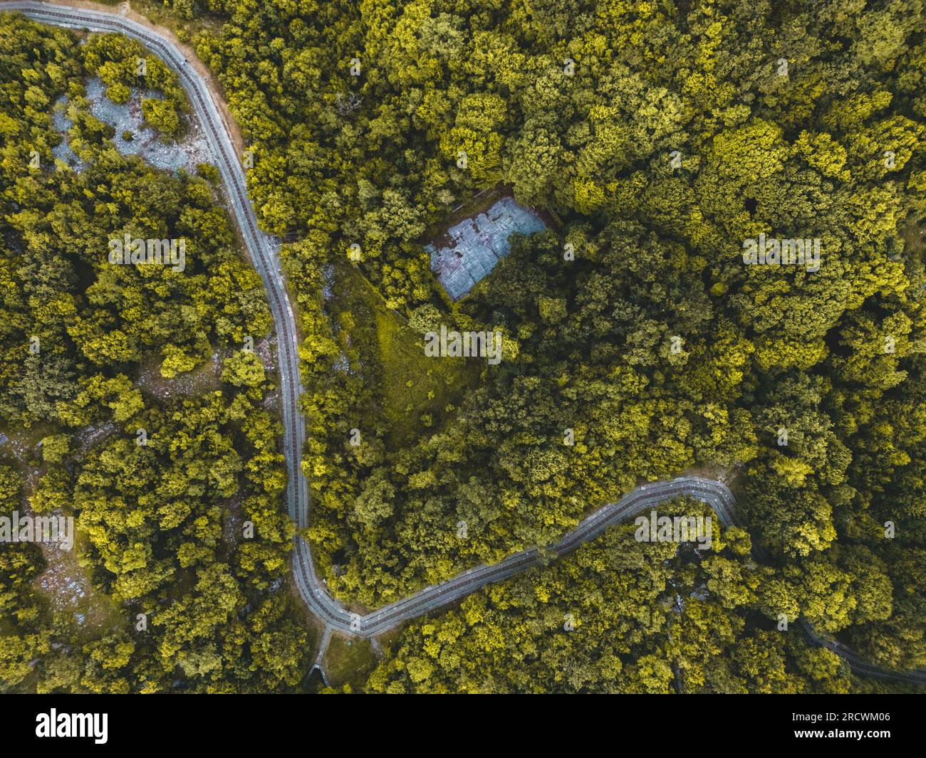 Aerial view forest path hi-res stock photography and images - Alamy