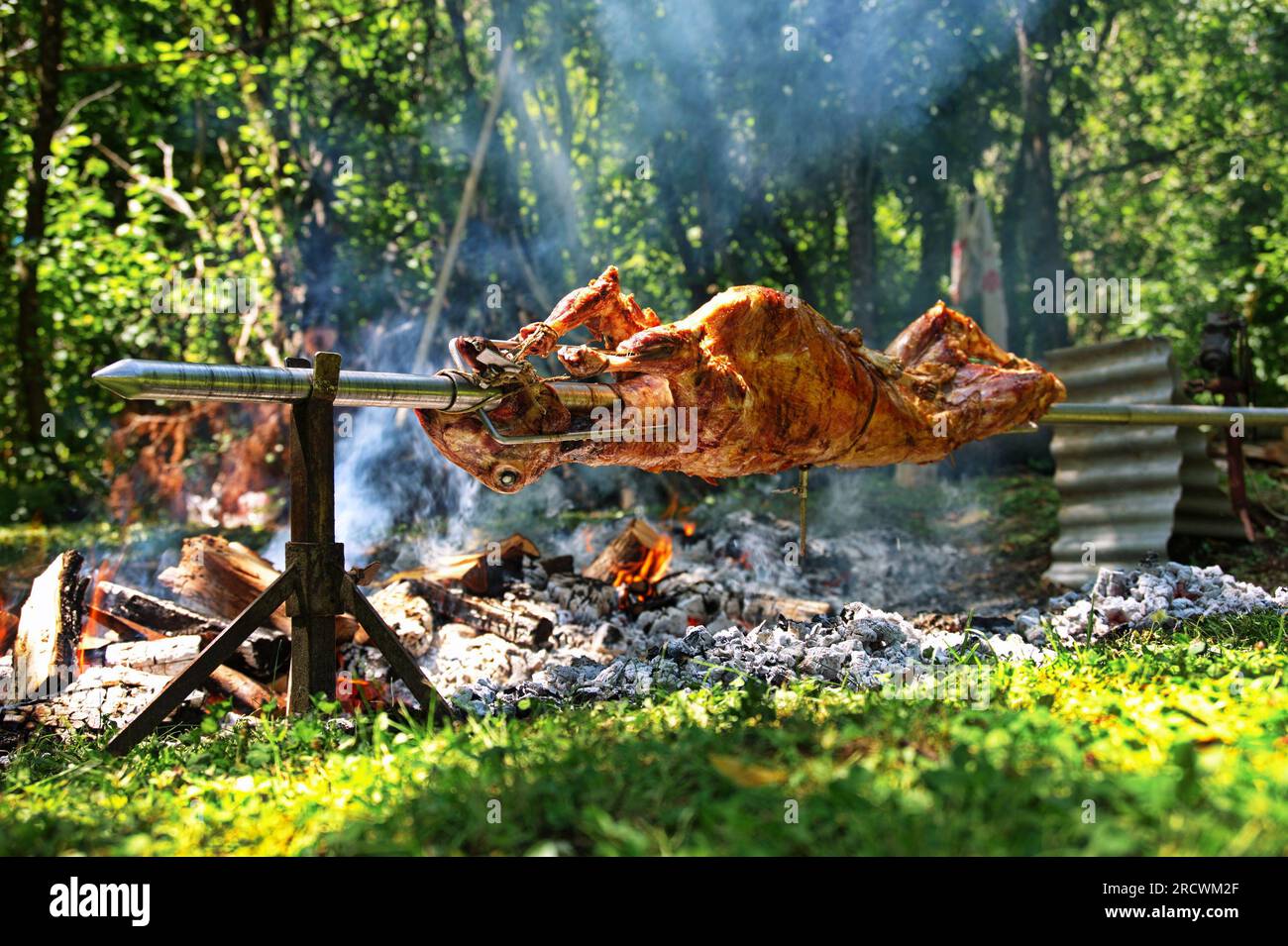 Whole lamb baked on a spit in nature Stock Photo - Alamy