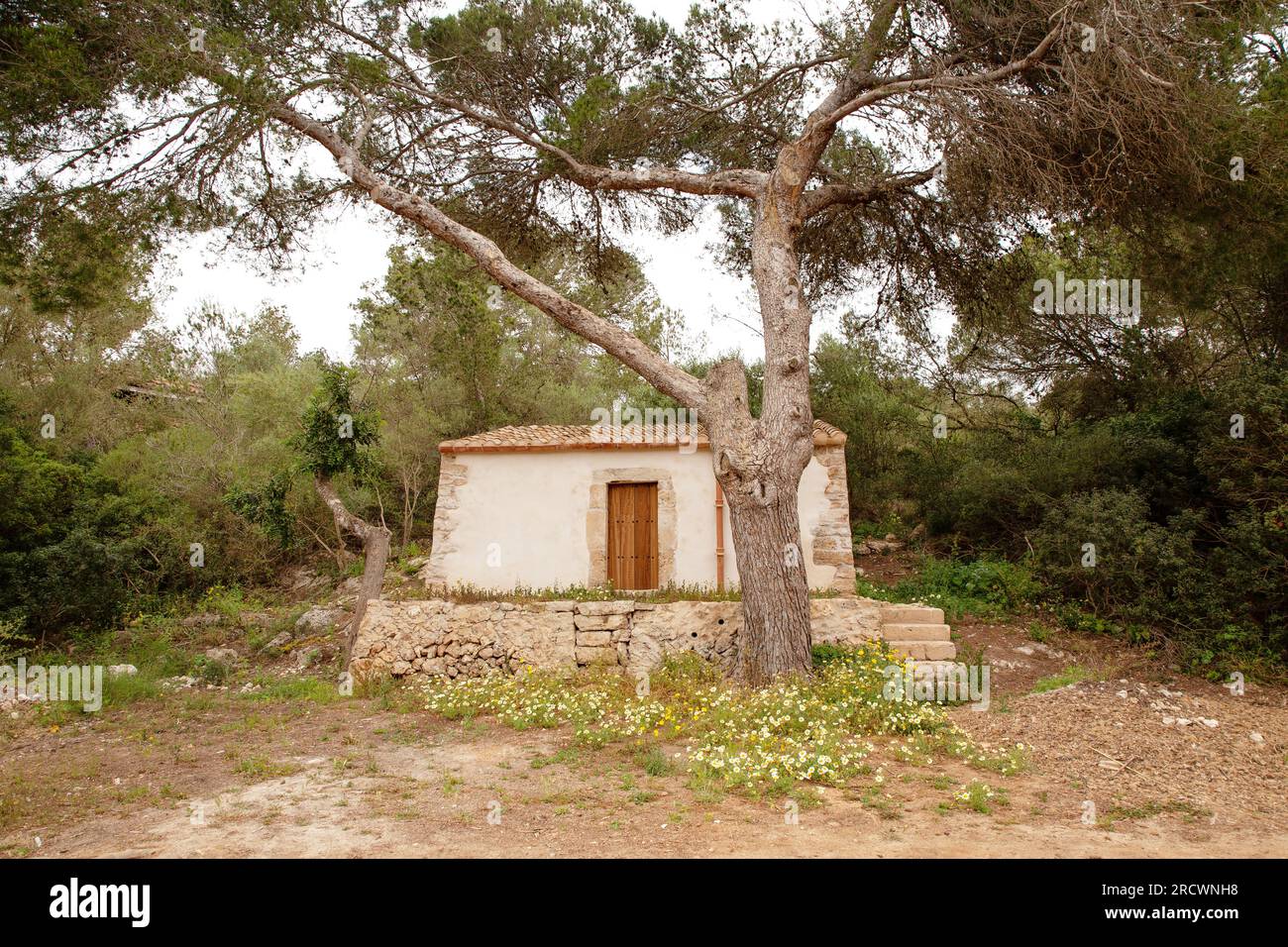 small hut in the wood set back from a beach in spain Stock Photo - Alamy