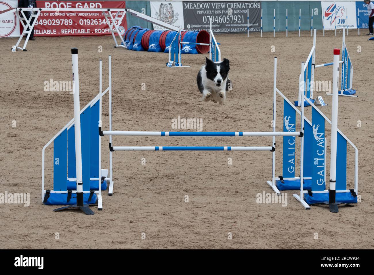 The Junior Open Agility World Championships 2023 Stock Photo - Alamy
