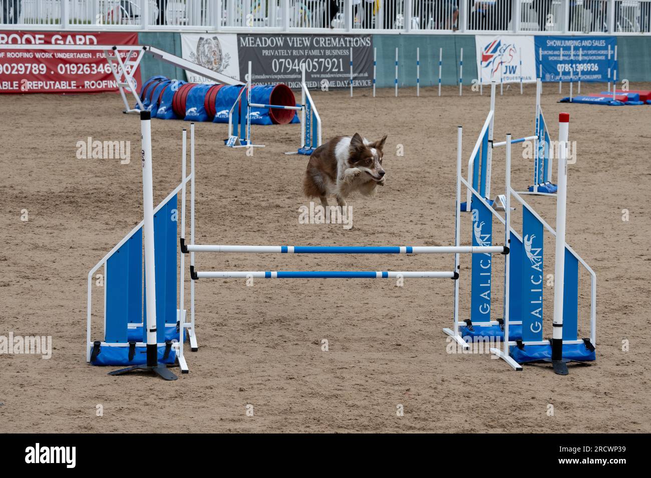The Junior Open Agility World Championships 2023 Stock Photo - Alamy