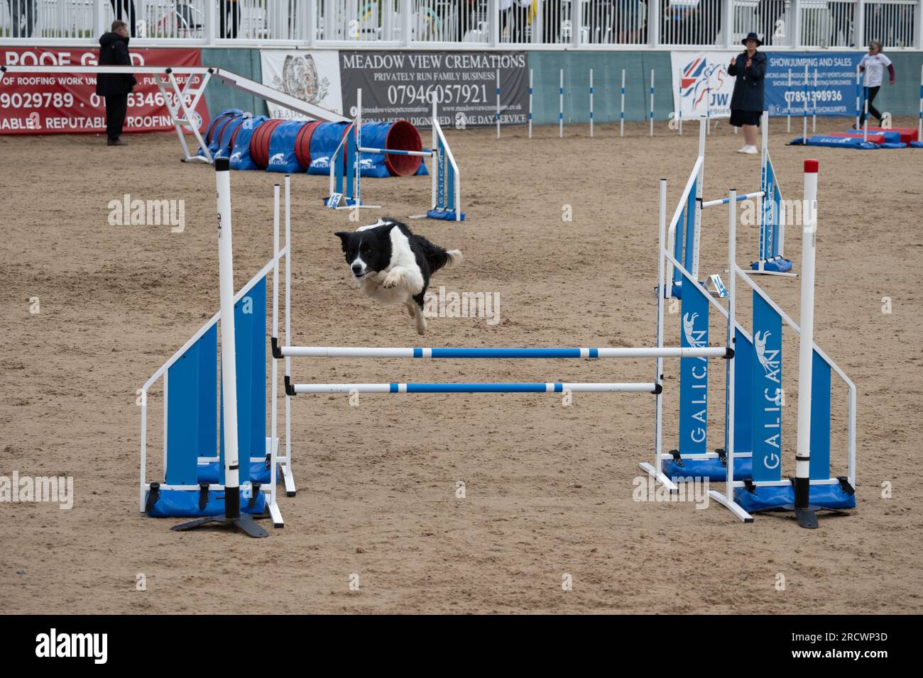 The Junior Open Agility World Championships 2023 Stock Photo - Alamy