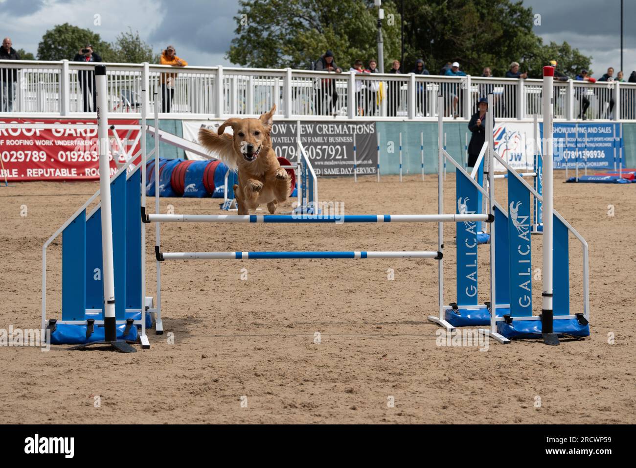 The Junior Open Agility World Championships 2023 Stock Photo - Alamy