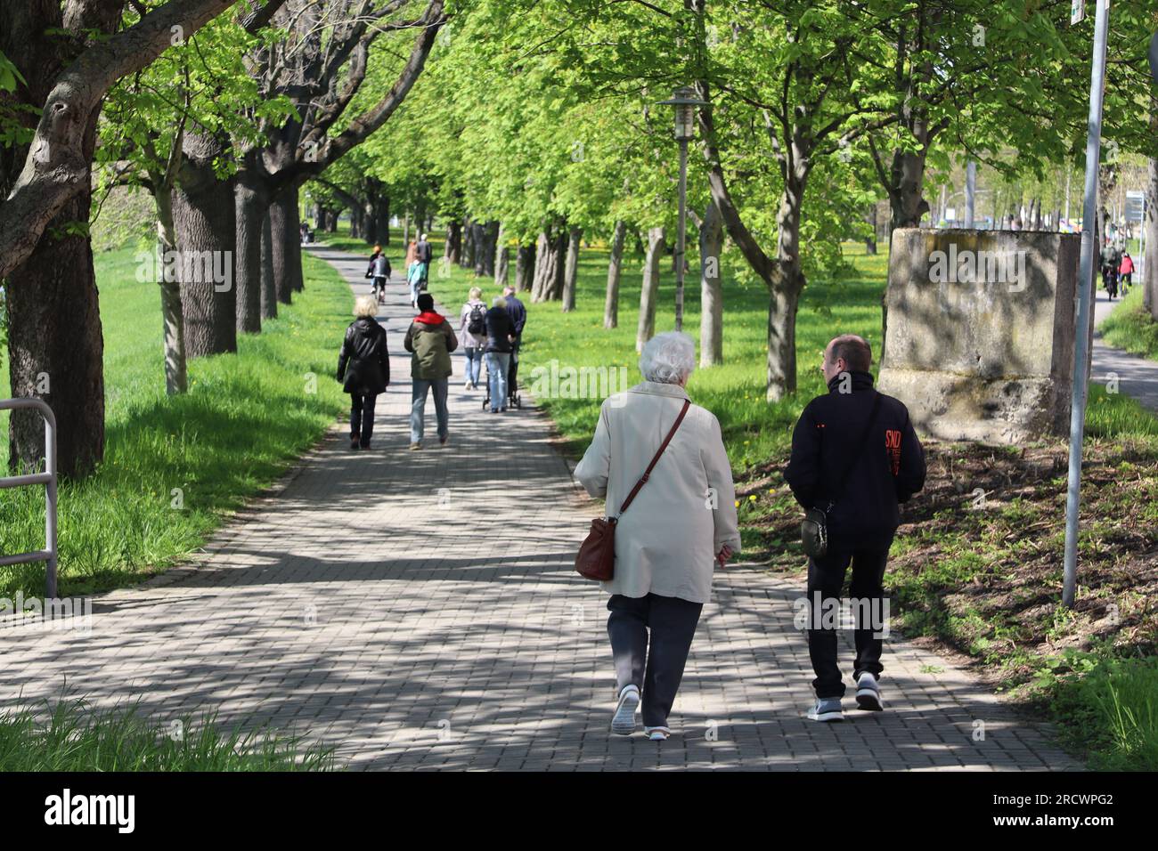 A group of people gracefully traverse the lush pathways, enveloped by a ...
