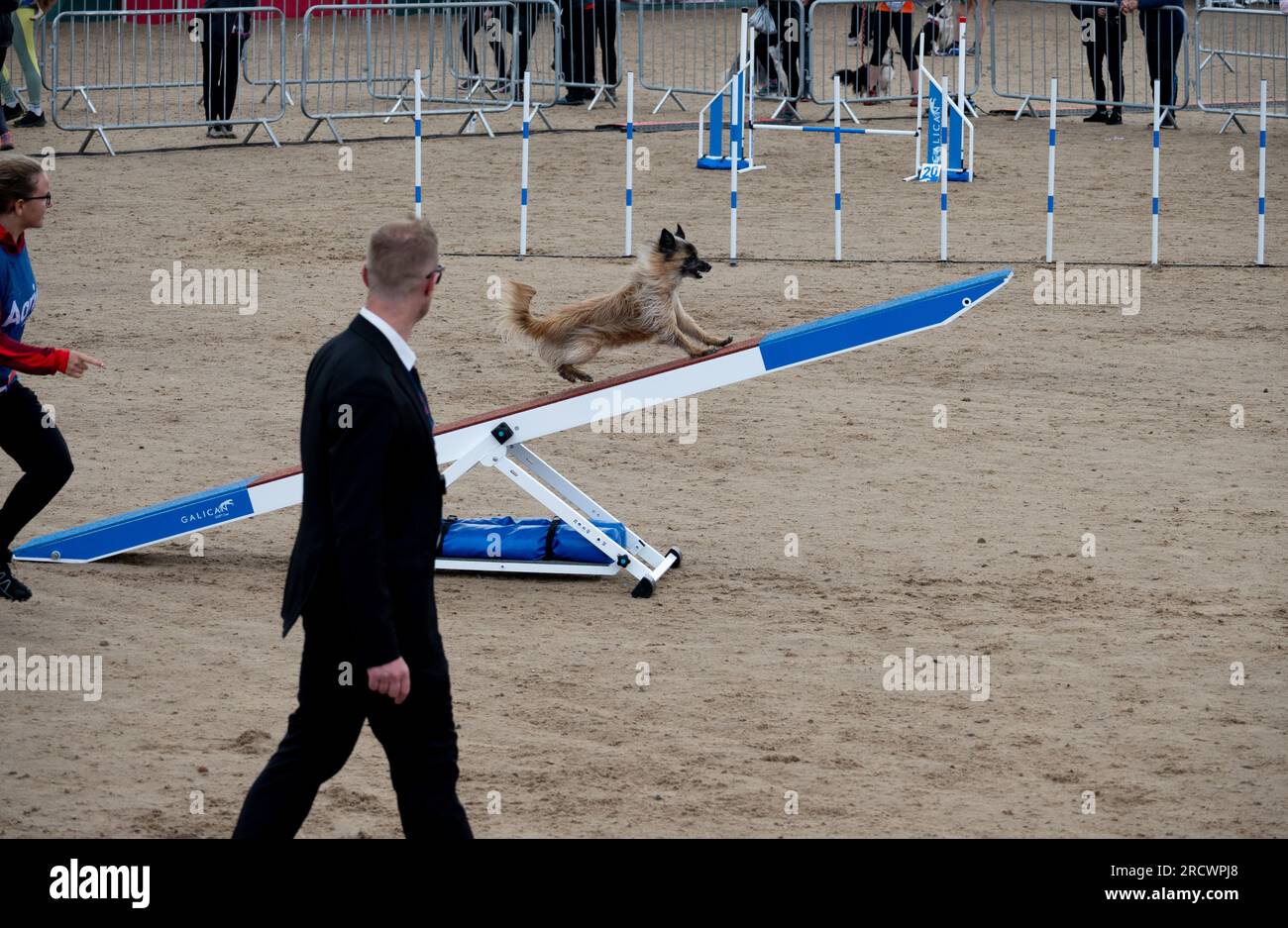 The Junior Open Agility World Championships 2023 Stock Photo - Alamy
