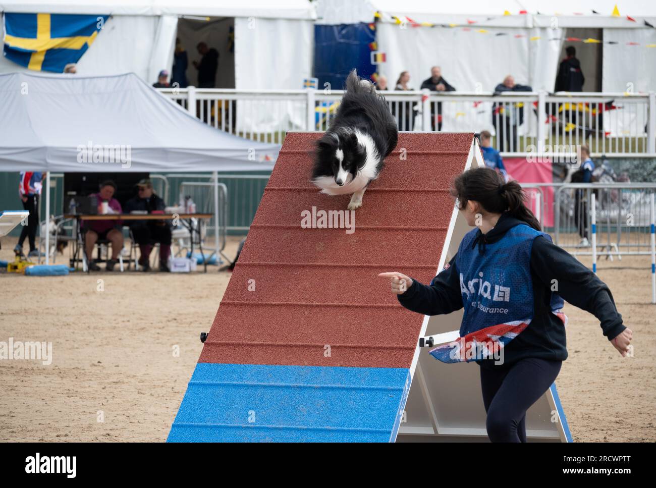 The Junior Open Agility World Championships 2023 Stock Photo - Alamy