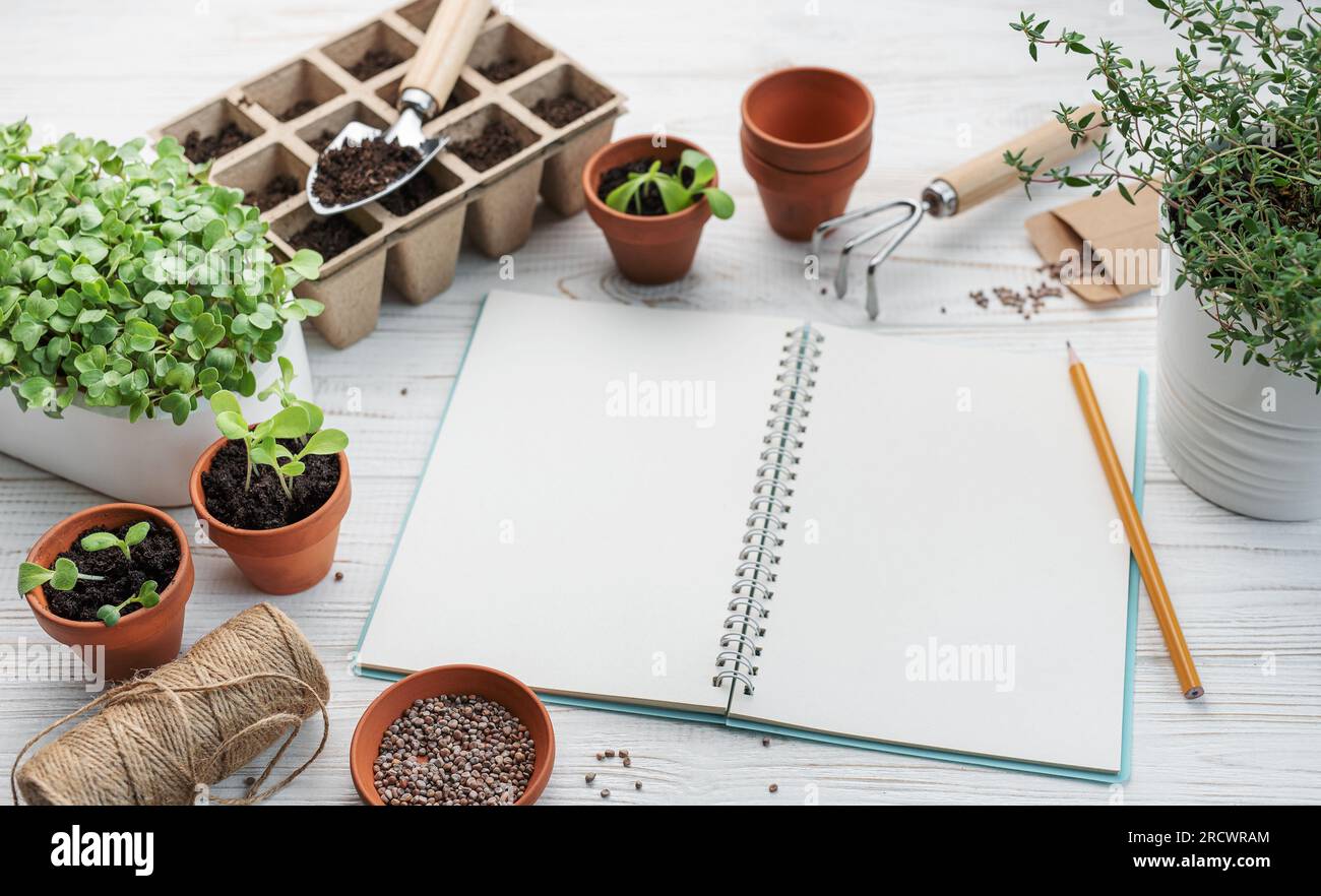 Gardening concept, planting at home. Set of gardening tools and ...