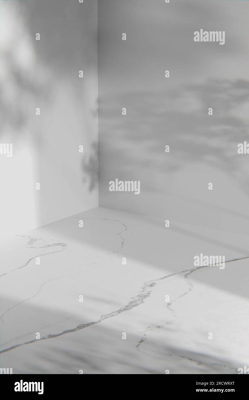 Simple monotone background with vases, tree shadows and natural light ...