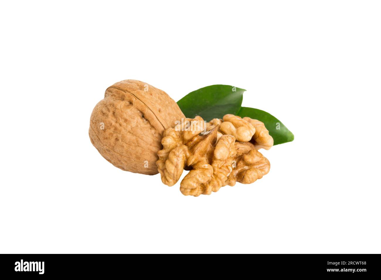 Roasted Walnut isolated on white background. Walnut is snack or raw of ...