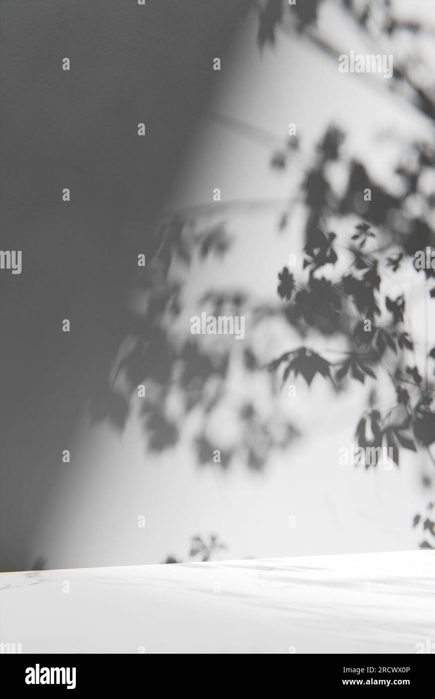 Simple monotone background with vases, tree shadows and natural light ...