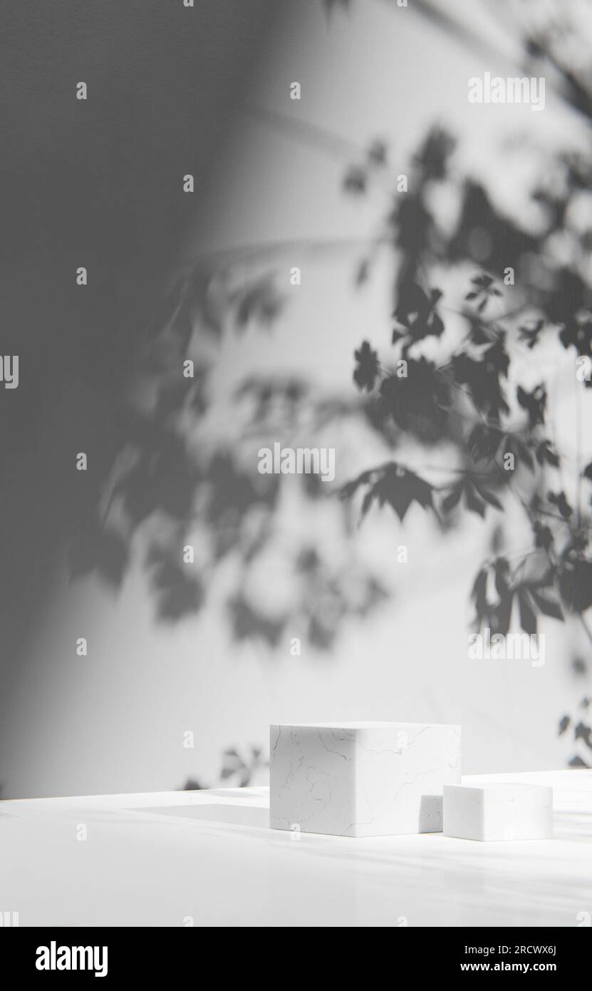 Simple monotone background with vases, tree shadows and natural light ...