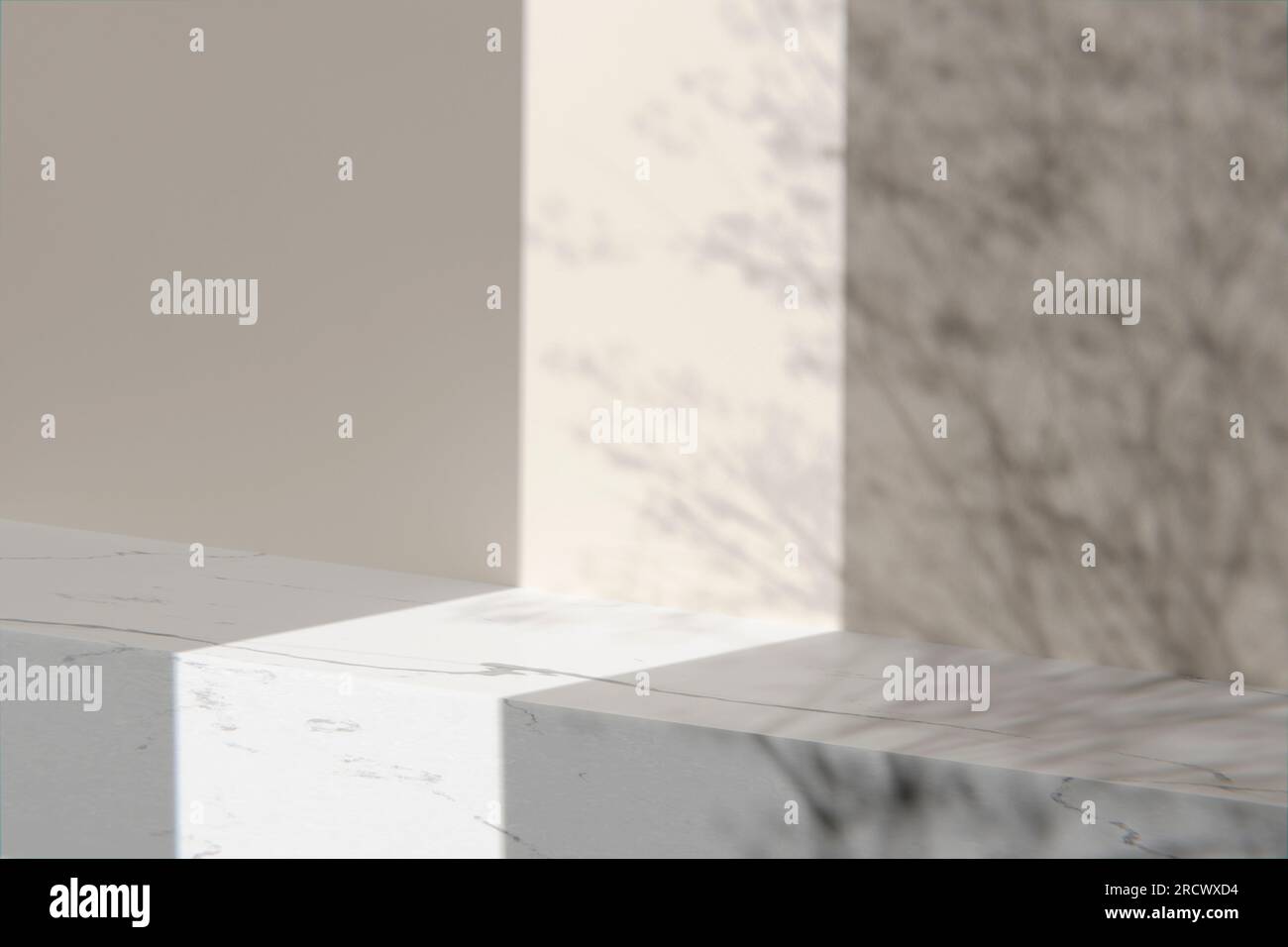 Simple monotone background with vases, tree shadows and natural light ...
