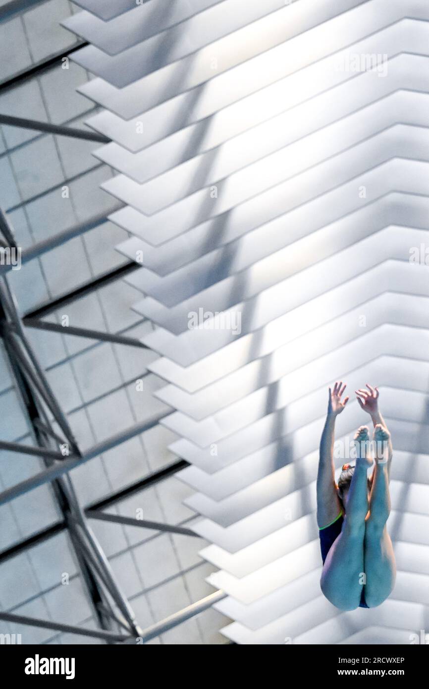 3m springboard synchro women final hi-res stock photography and images ...