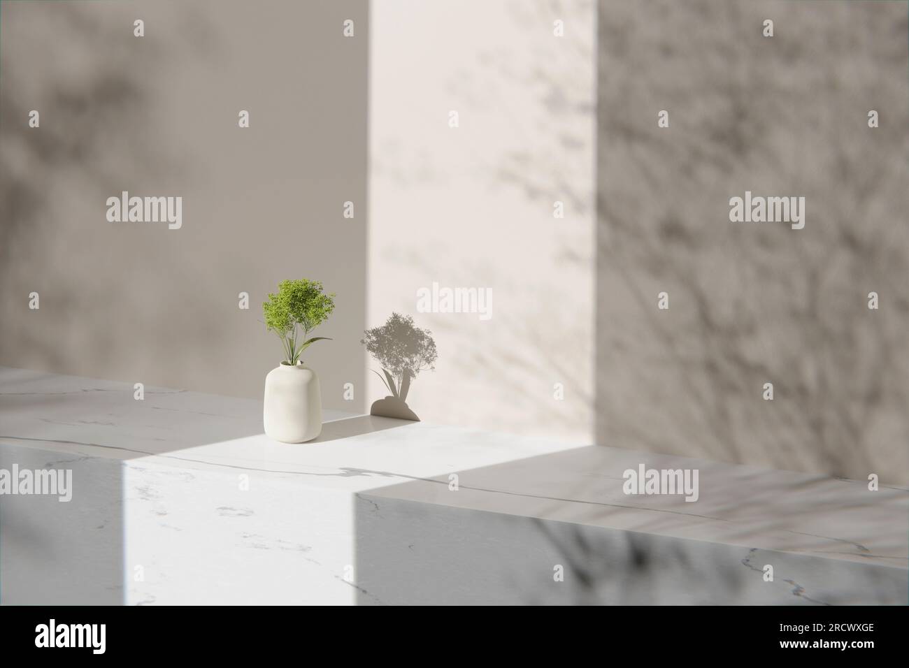 Simple monotone background with vases, tree shadows and natural light ...