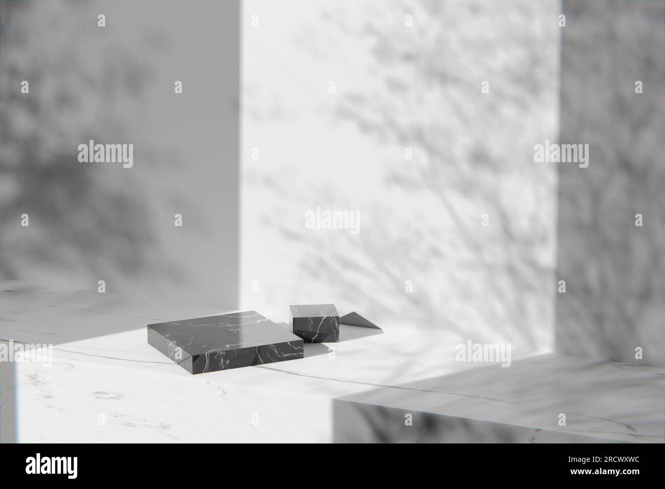 Simple monotone background with vases, tree shadows and natural light ...