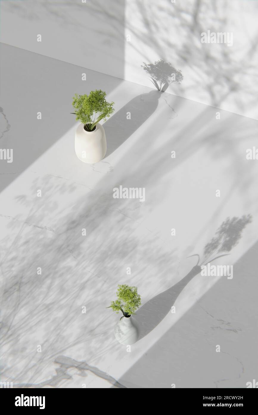 Simple monotone background with vases, tree shadows and natural light ...