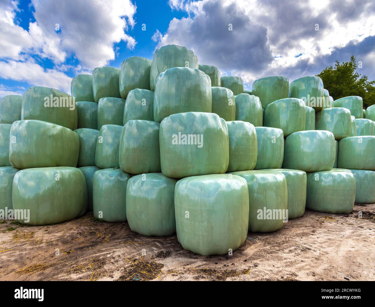 Stacked straw bales covered in green weatherproof plastic - Saint ...