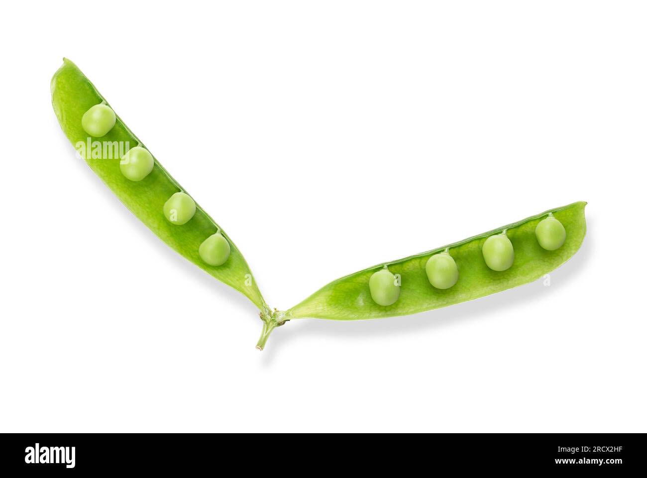 Pea pod plant hi-res stock photography and images - Alamy